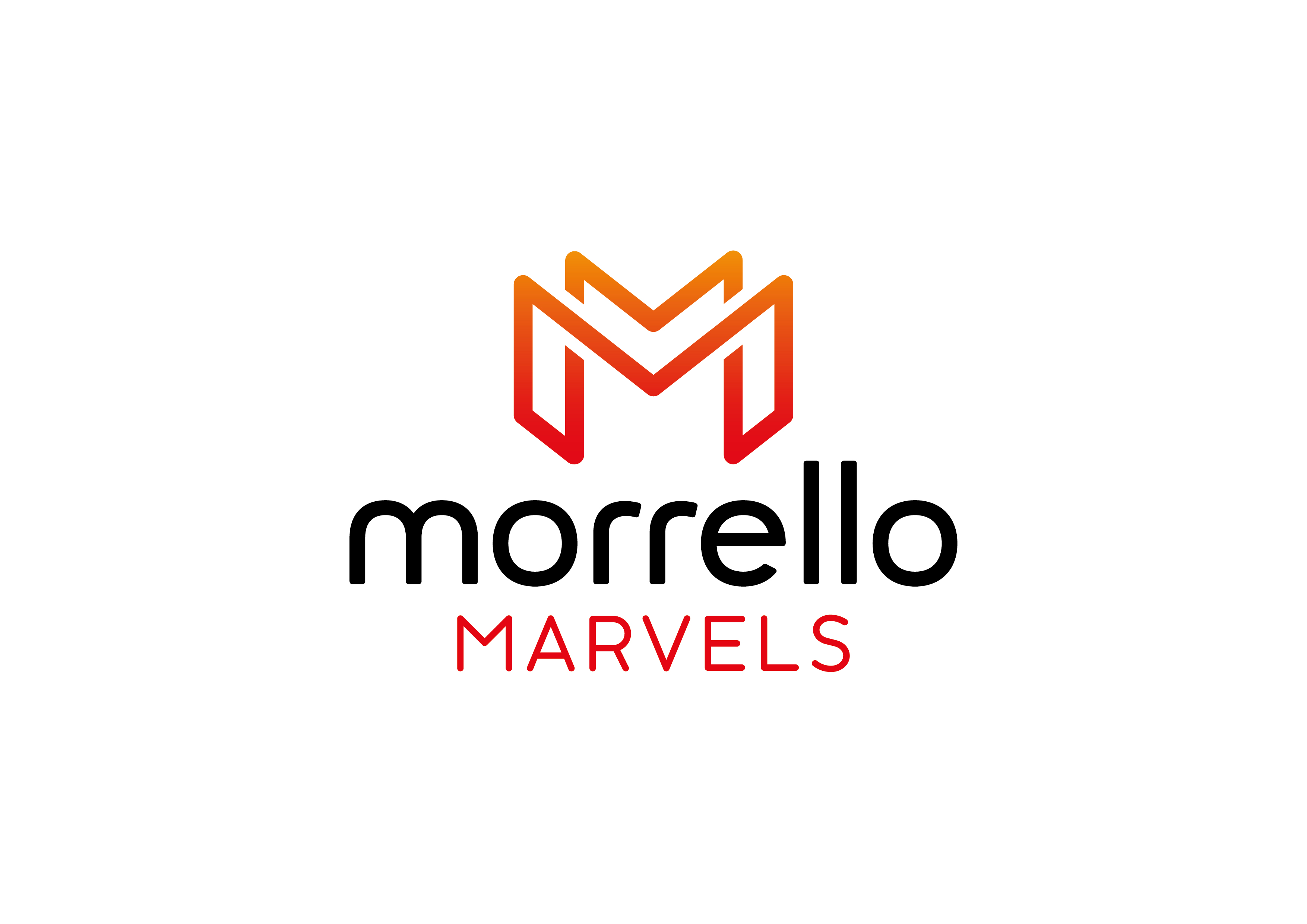 Morrello Para-Triathlon 2023 - GiveWheel