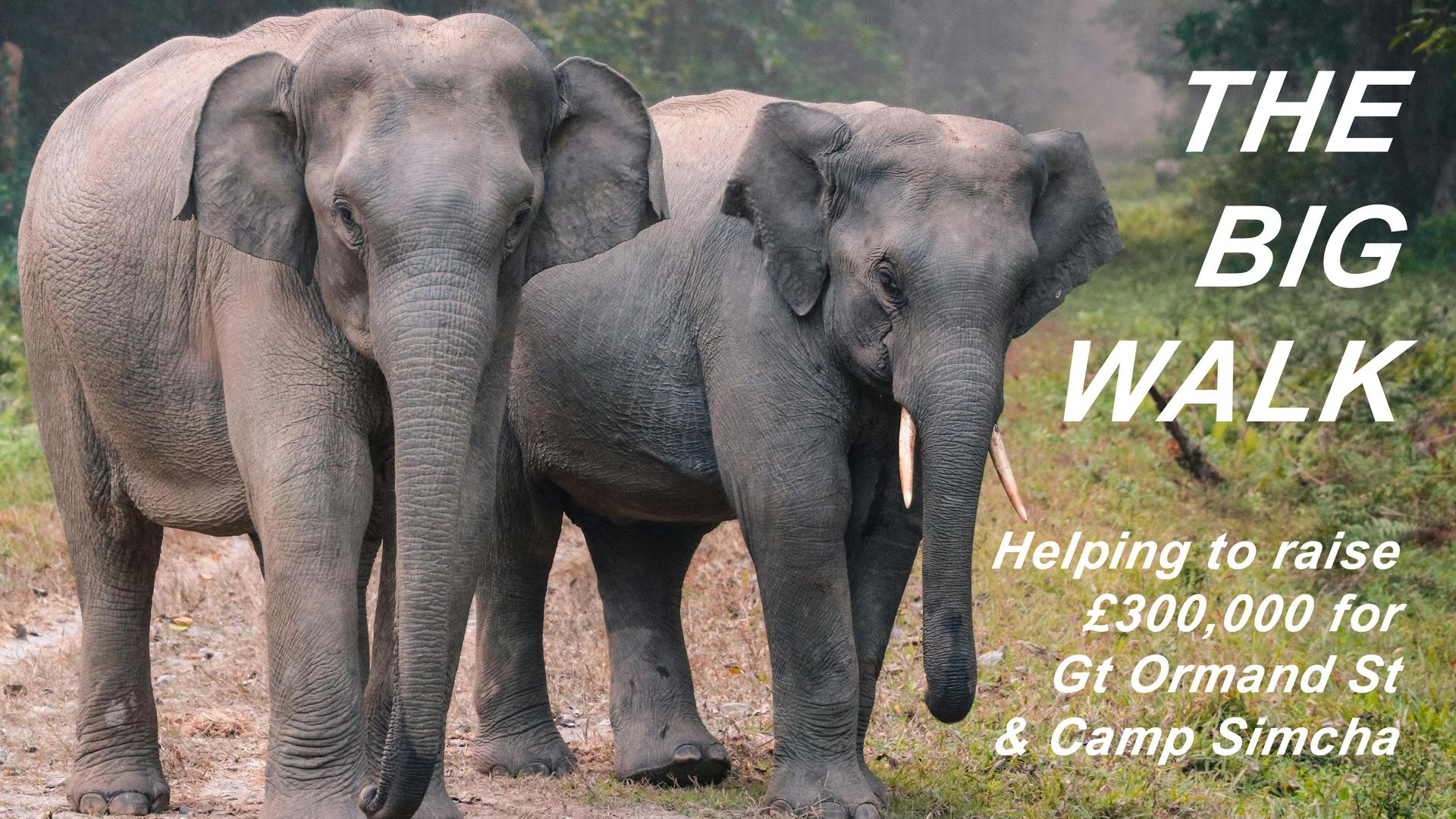 Jon Beach's The Big Walk - GiveWheel